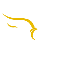 ENDE CORPORACIÓN IMPLEMENTA UN SERVICIO INNOVADOR DE CONSULTAS Y PAGO ...